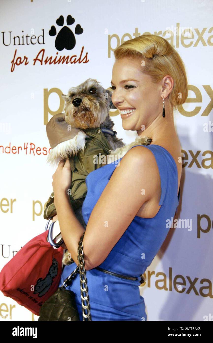 Katherine Heigle attends the puppy-themed grand opening of the new ...