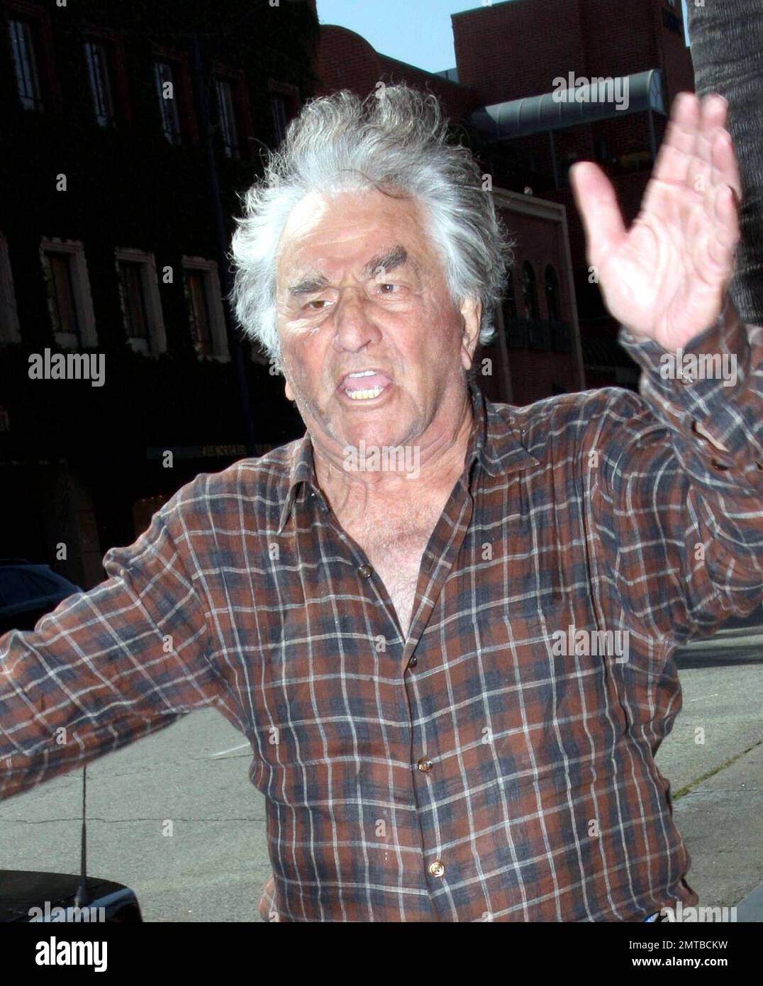 Peter Falk, best known for playing the title role on "Columbo" in the ...