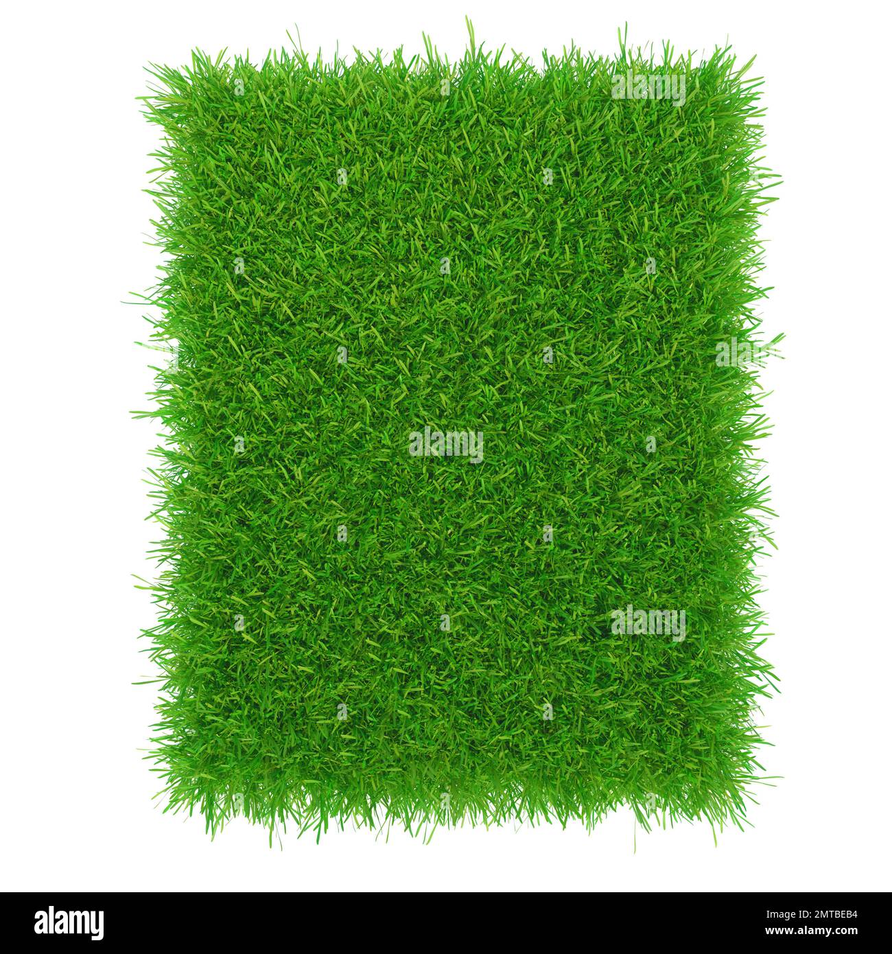 Grass texture background, Green lawn, Backyard for background. 3d ...