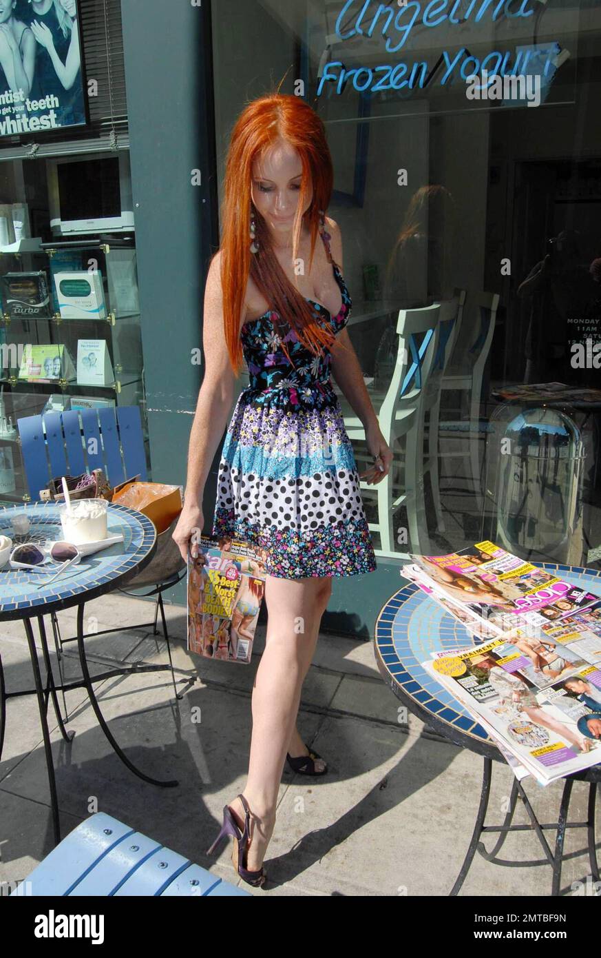 Black pheobe hi-res stock photography and images - Alamy