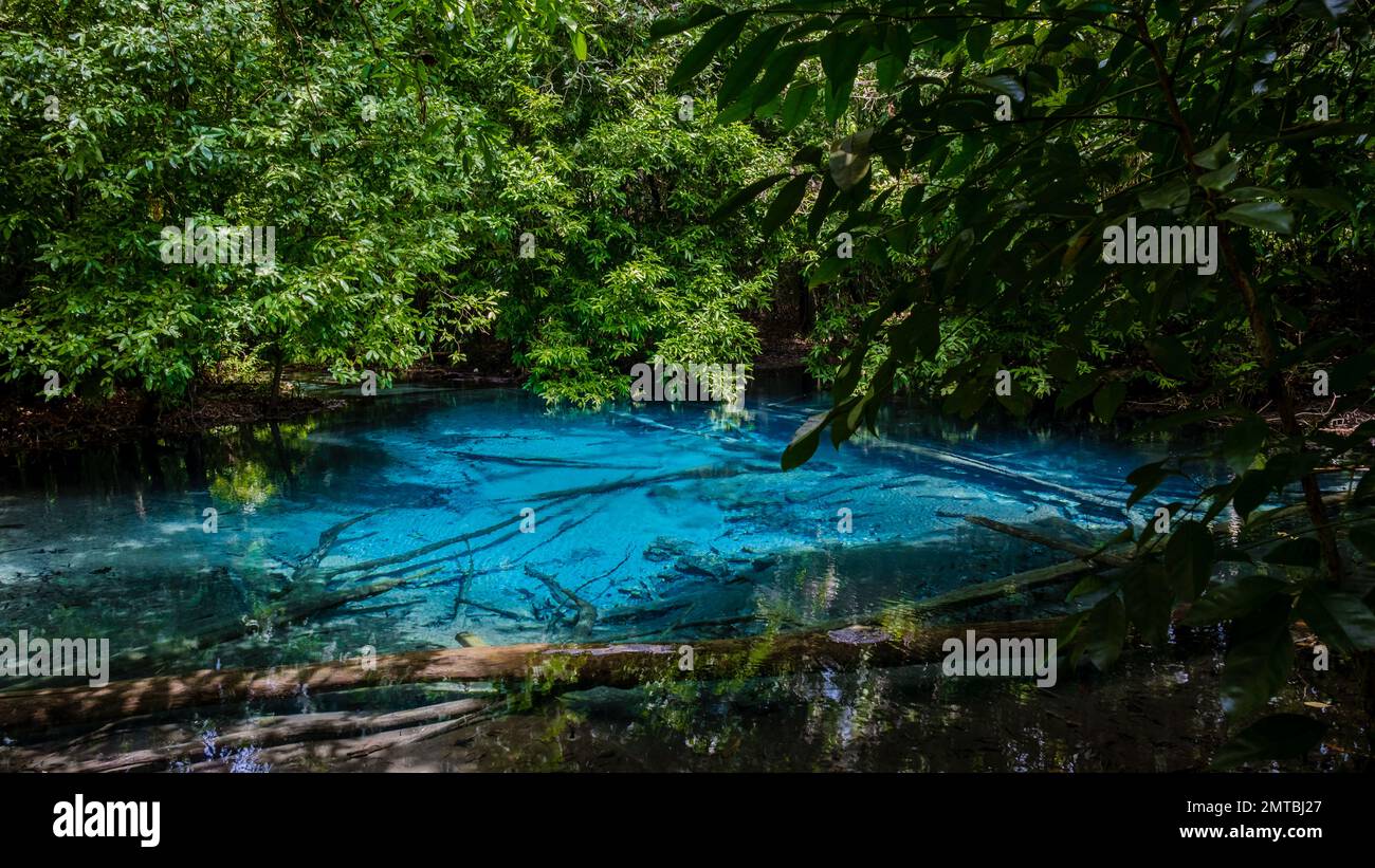 Emerald pool and Blue pool in Krabi Thailand, tropical lagoon in a ...