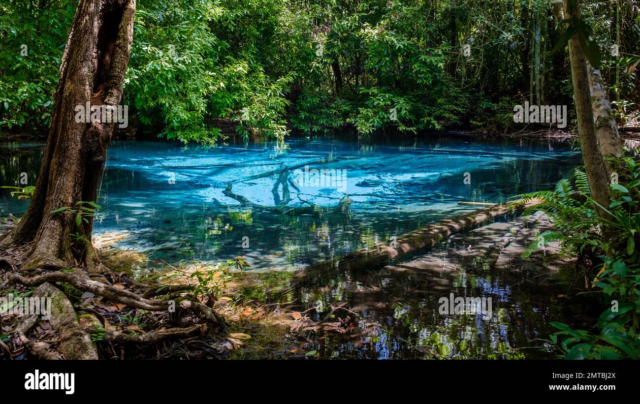 Emerald pool and Blue pool in Krabi Thailand, tropical lagoon in a ...