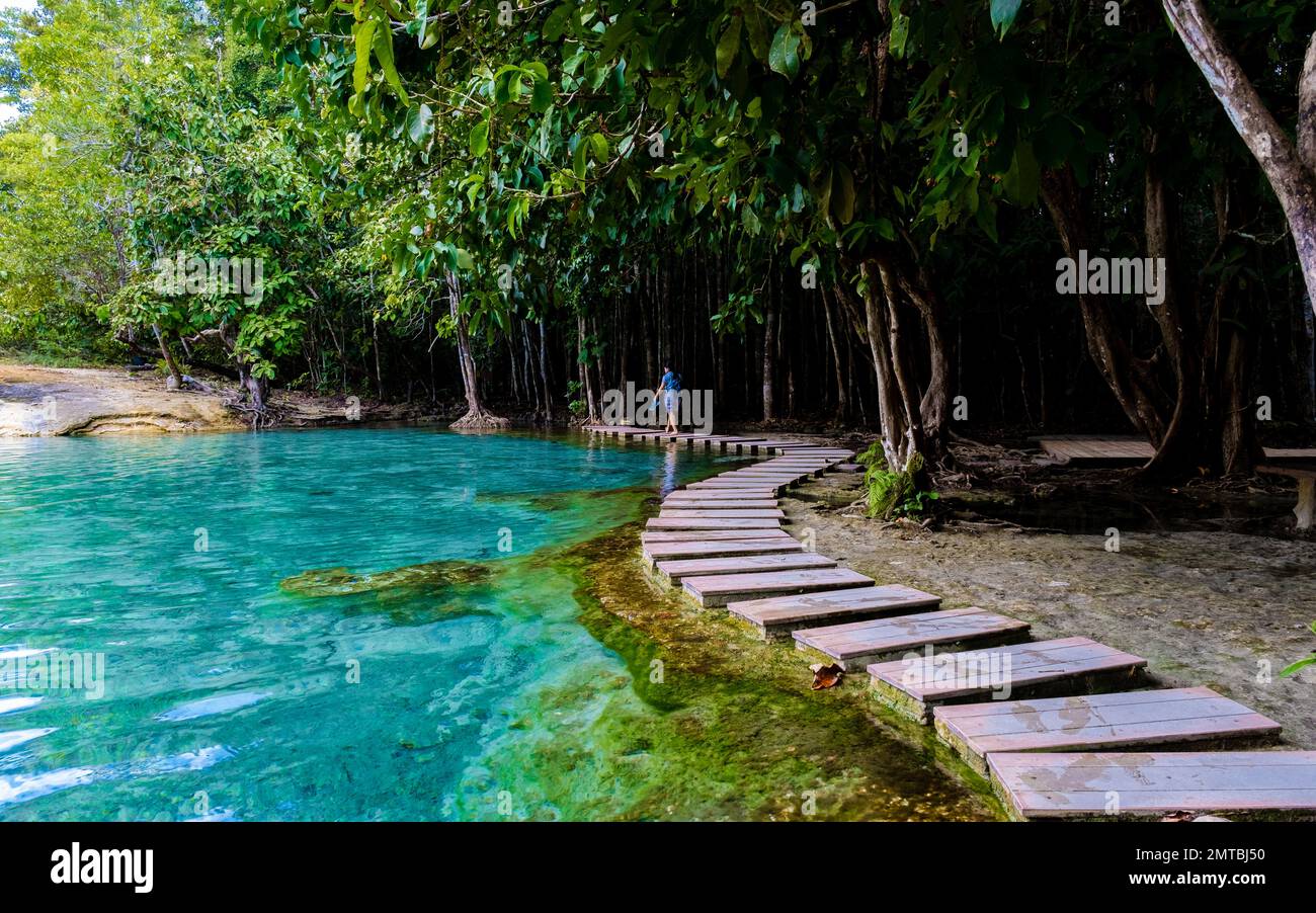 Emerald pool and Blue pool in Krabi Thailand, tropical lagoon in a ...