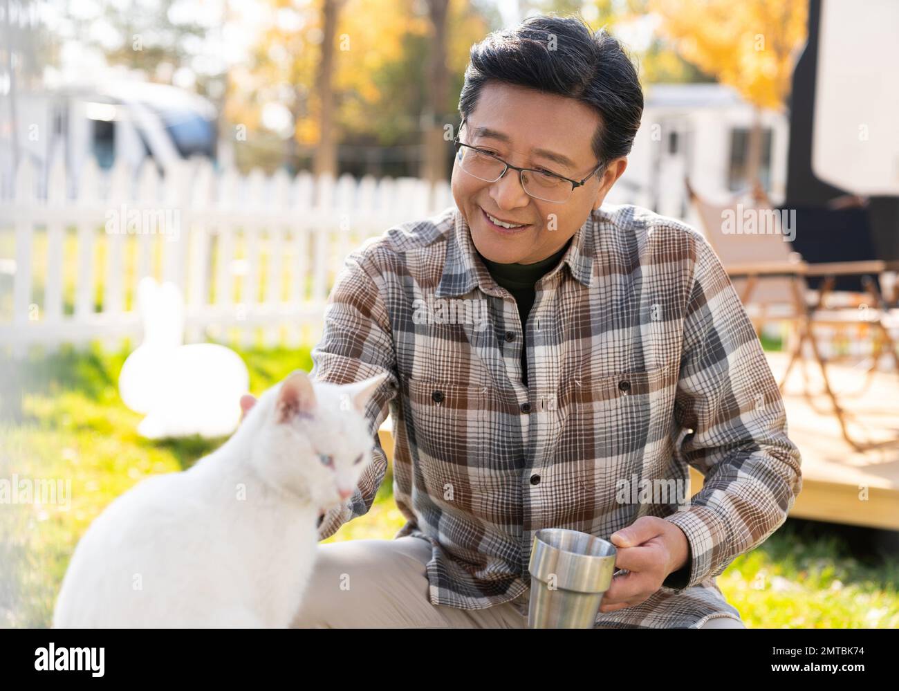 Play with the cat hi-res stock photography and images - Alamy