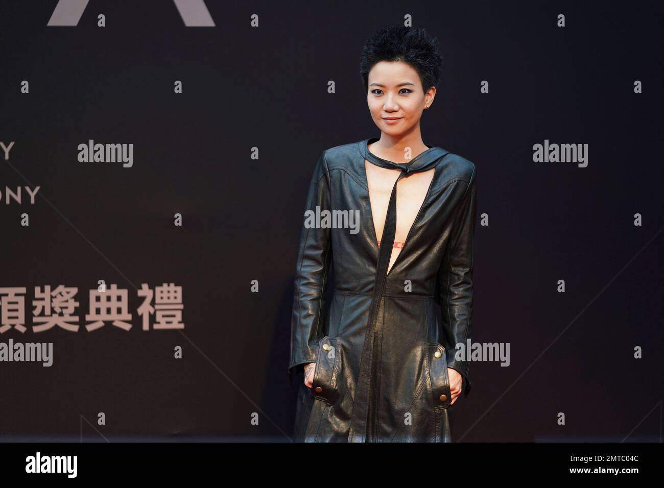 Hong Kong singer Ellen Joyce Loo arrives at the 28th Golden Melody ...