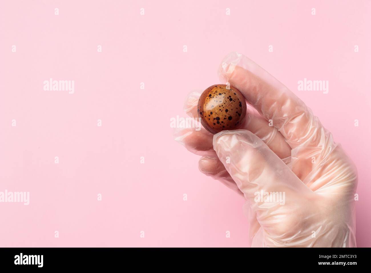 Painted handcrafted chocolate bonbon in a human hand. Delicious dessert ...