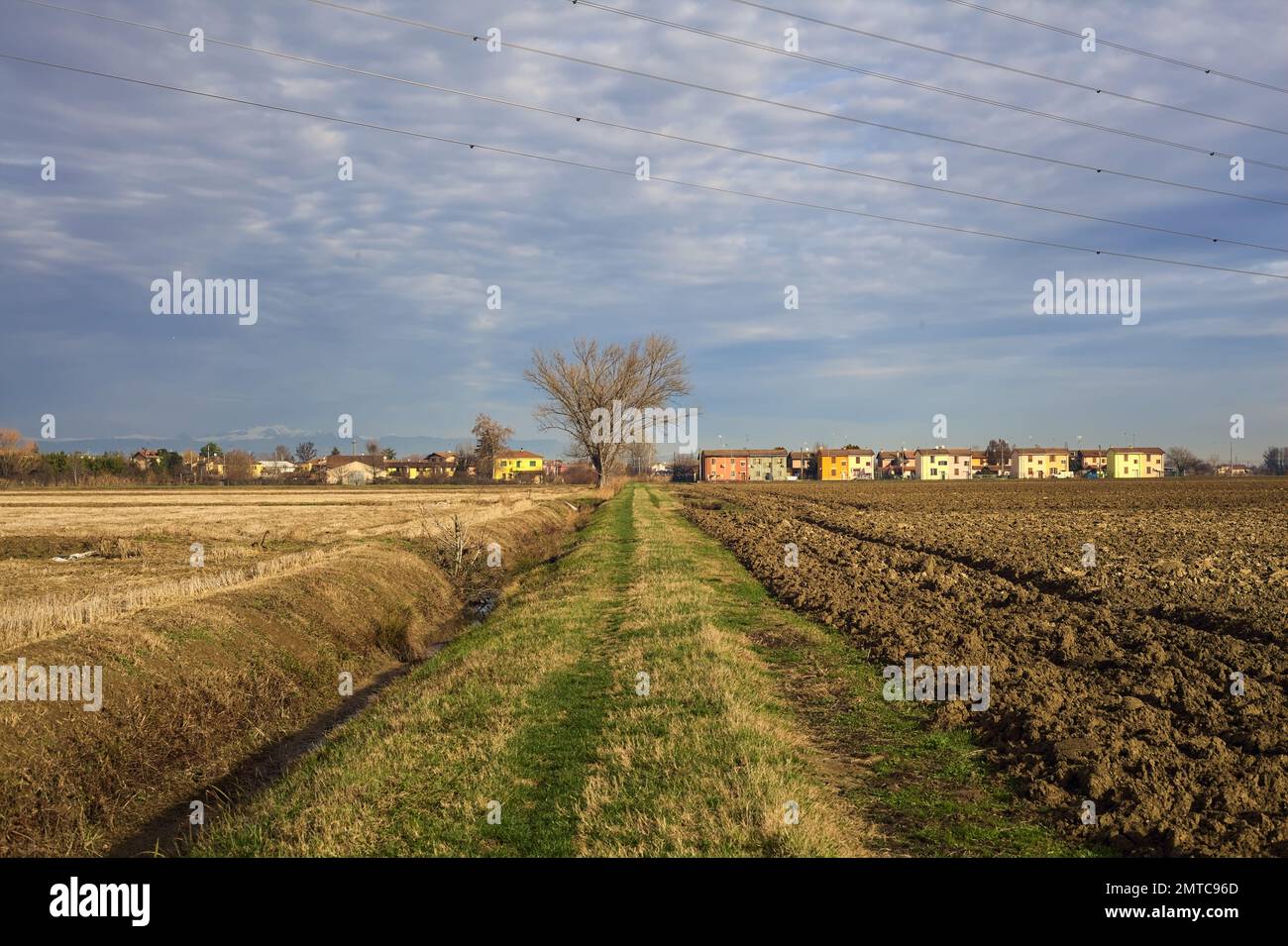 Trail between ploughed fields and dry irrigation channels with a poplar ...