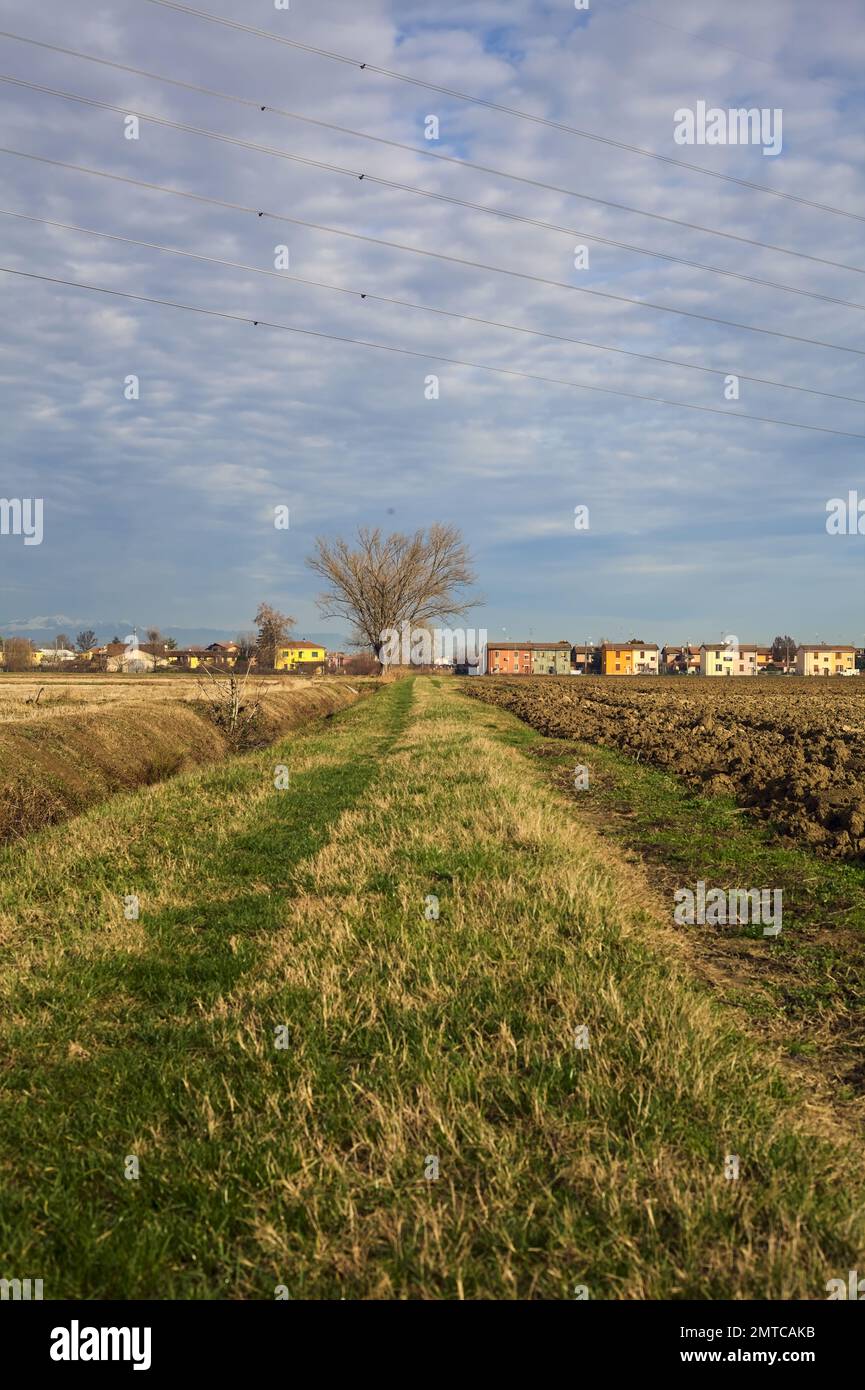 Trail between ploughed fields and dry irrigation channels with a poplar ...