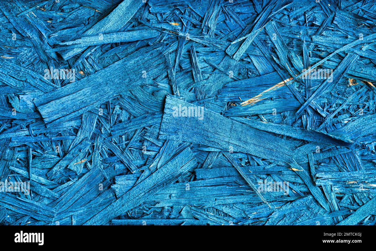 OSB plate is blue. Abstract texture of building material Made of ...