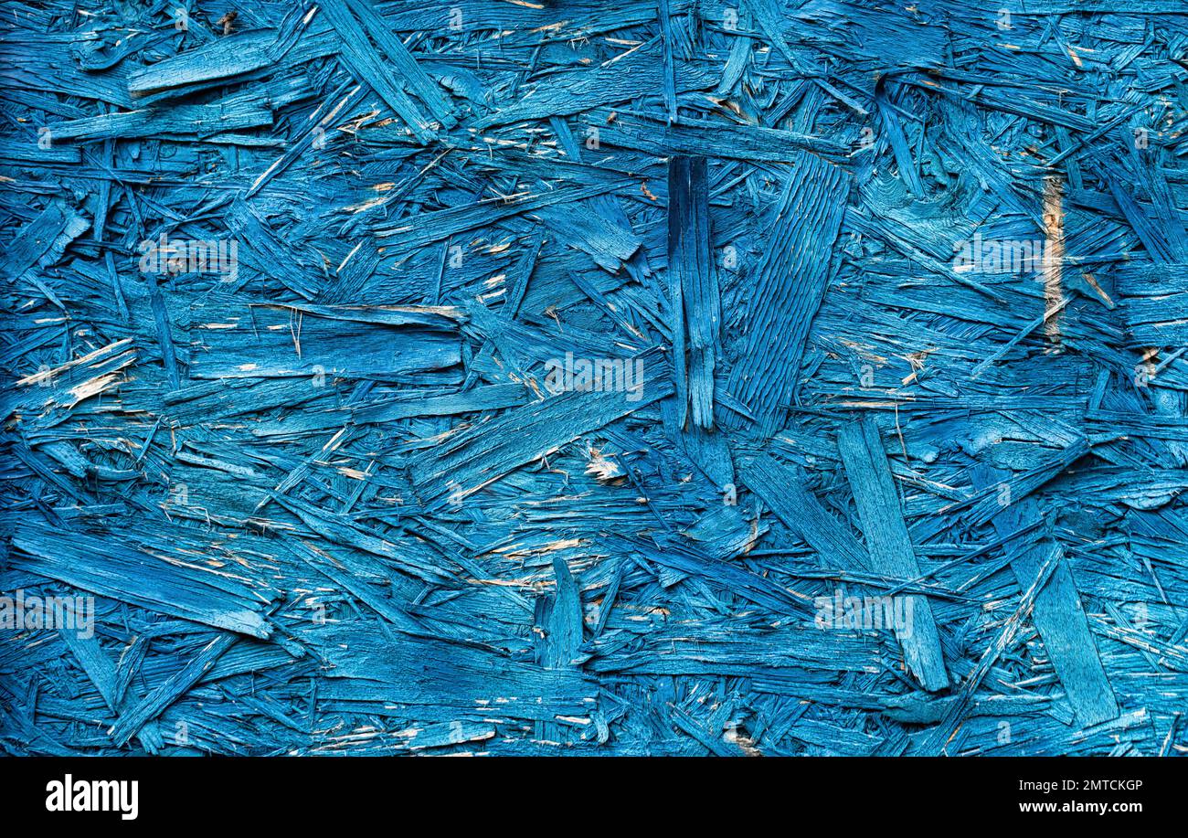 OSB plate is blue. Abstract texture of building material Made of ...