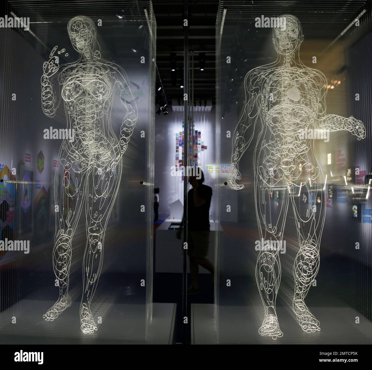 A man stands as he visit 'The Beauty of Imaging' exhibition, at La ...