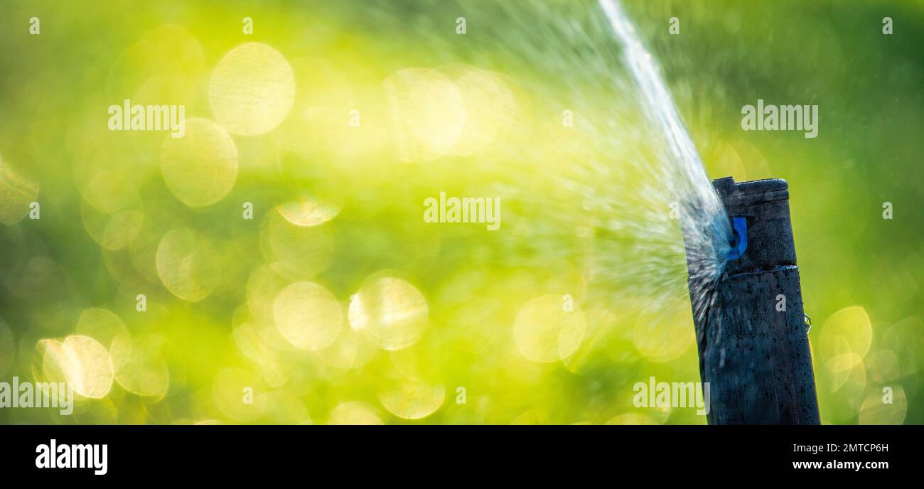 Automatic lawn watering system, watering the lawn in the backyard Stock ...