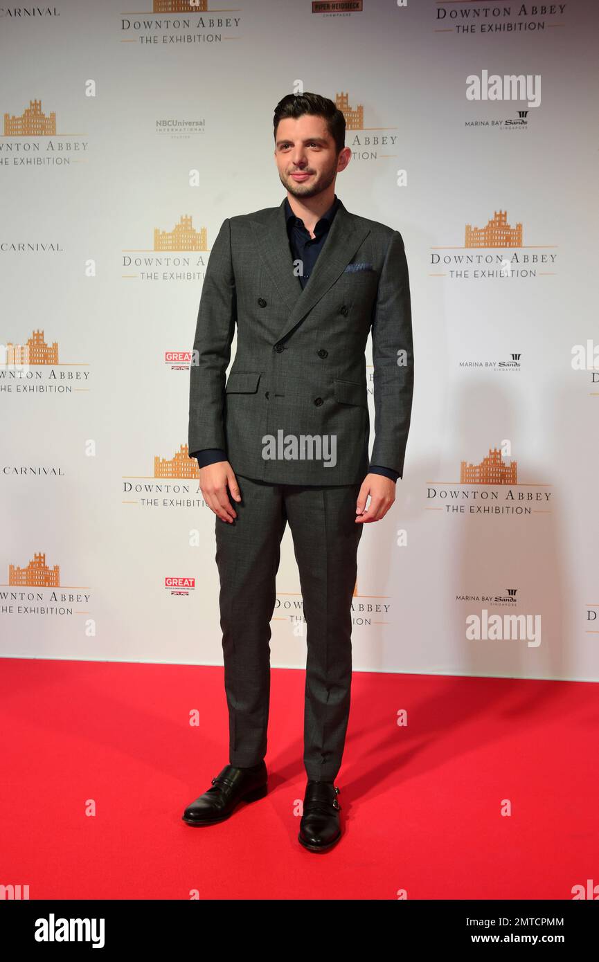 British actor Michael Fox and star of Downton Abbey poses on the red ...