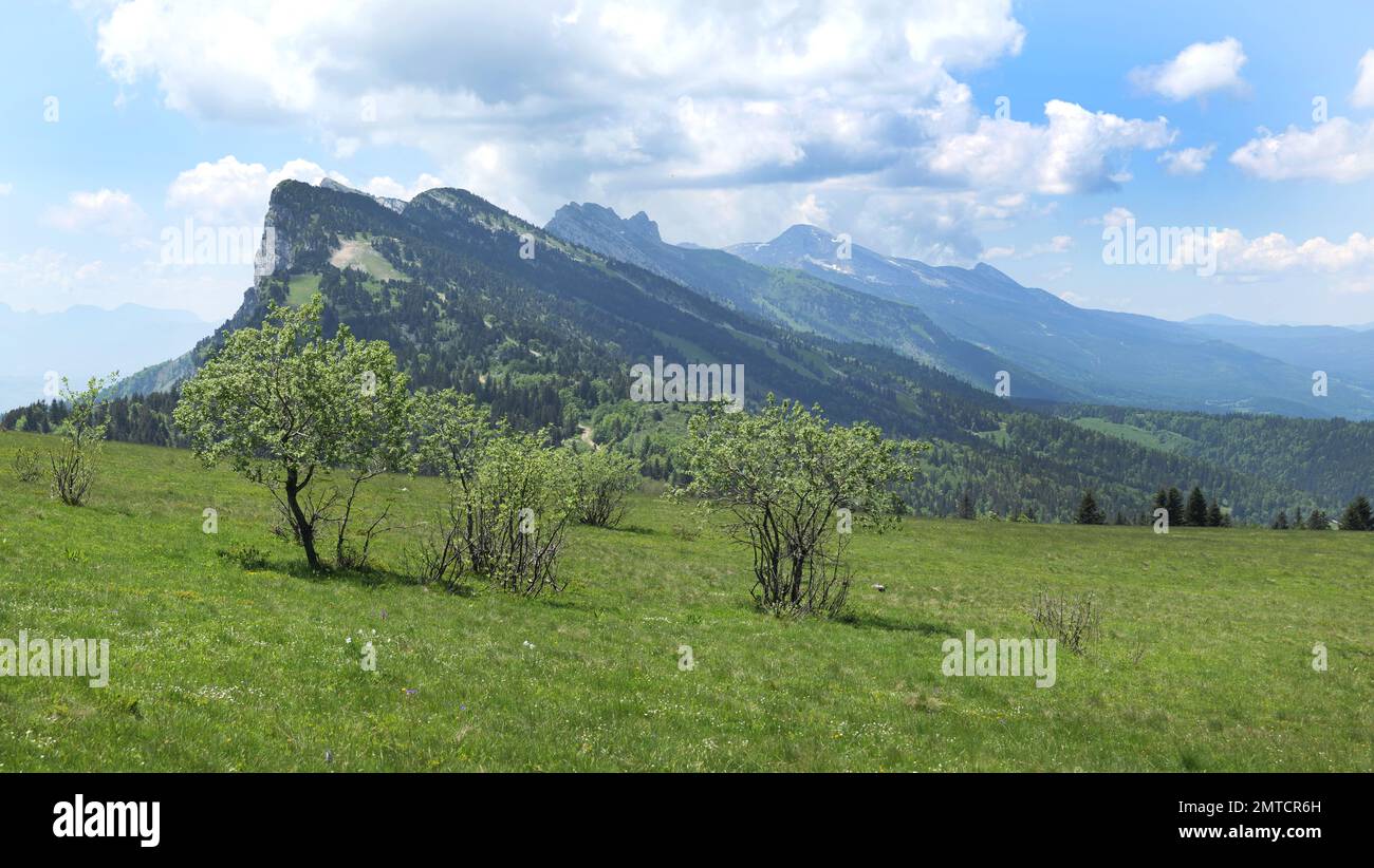 Belvedere Vertige des Cimes, vercors, france Stock Photo - Alamy