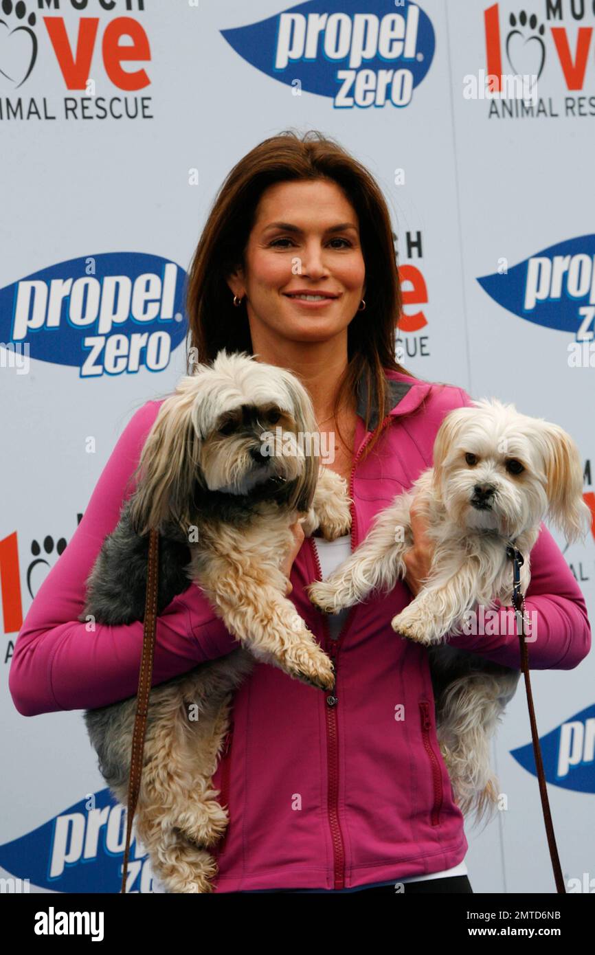 Walking dog posed by model hi-res stock photography and images - Alamy
