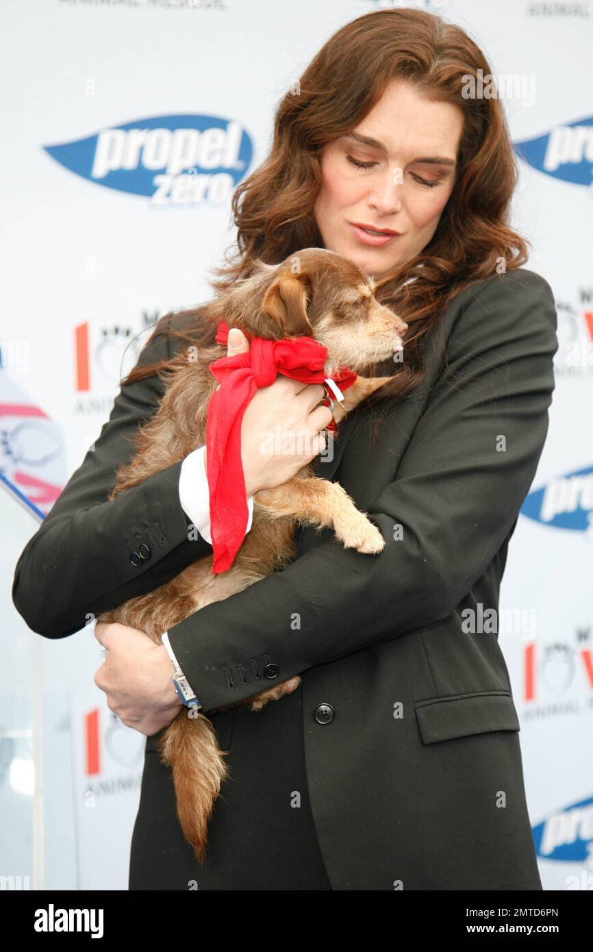 Brooke Shields poses for photographers at Propel Zero to 1000, a ...