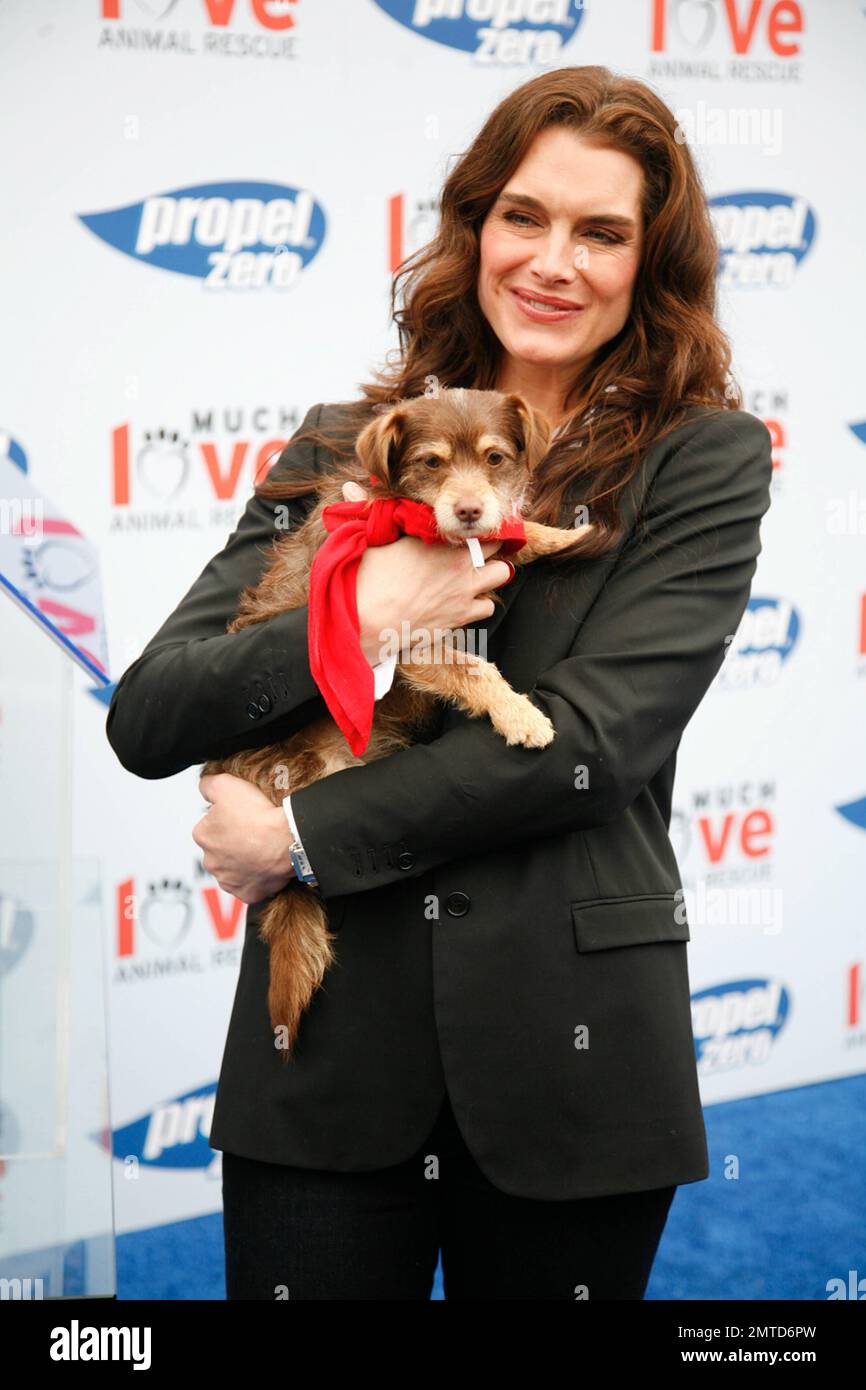 Brooke Shields poses for photographers at Propel Zero to 1000, a ...
