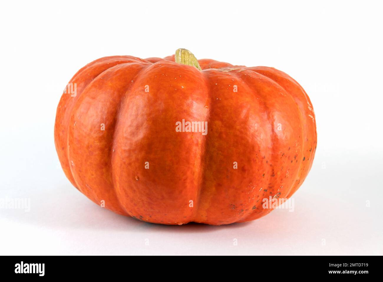 Pumpkin isolated on white with shadow and subtle reflection. Ripe ugly ...