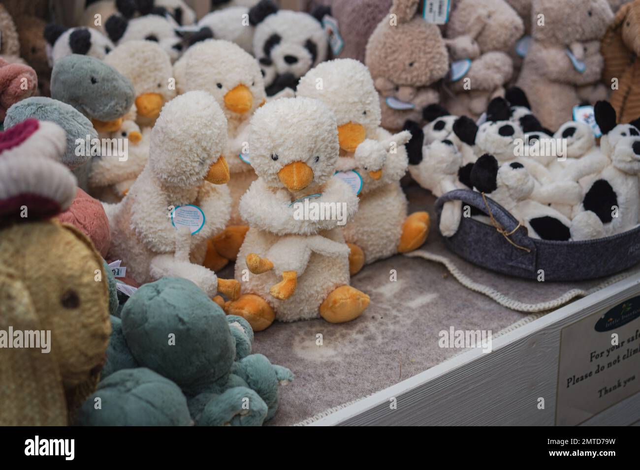 Jellycat teddy display in shops - vegetable characters Stock Photo - Alamy