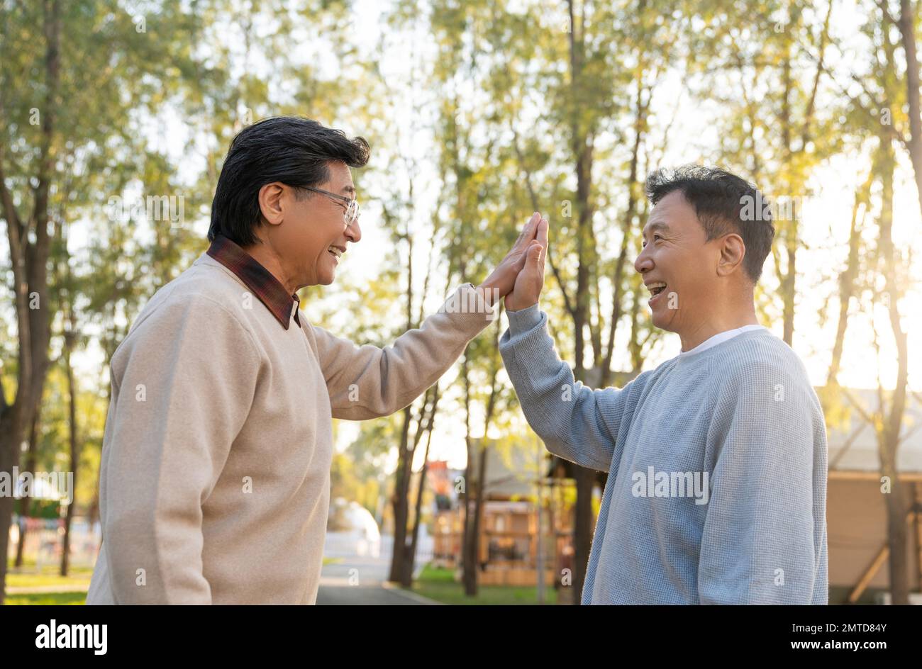 Two elderly men high-five happily Stock Photo - Alamy