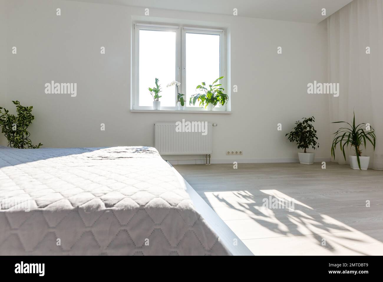 Bedroom with big window, decorated with a bouquet of flowers Stock ...