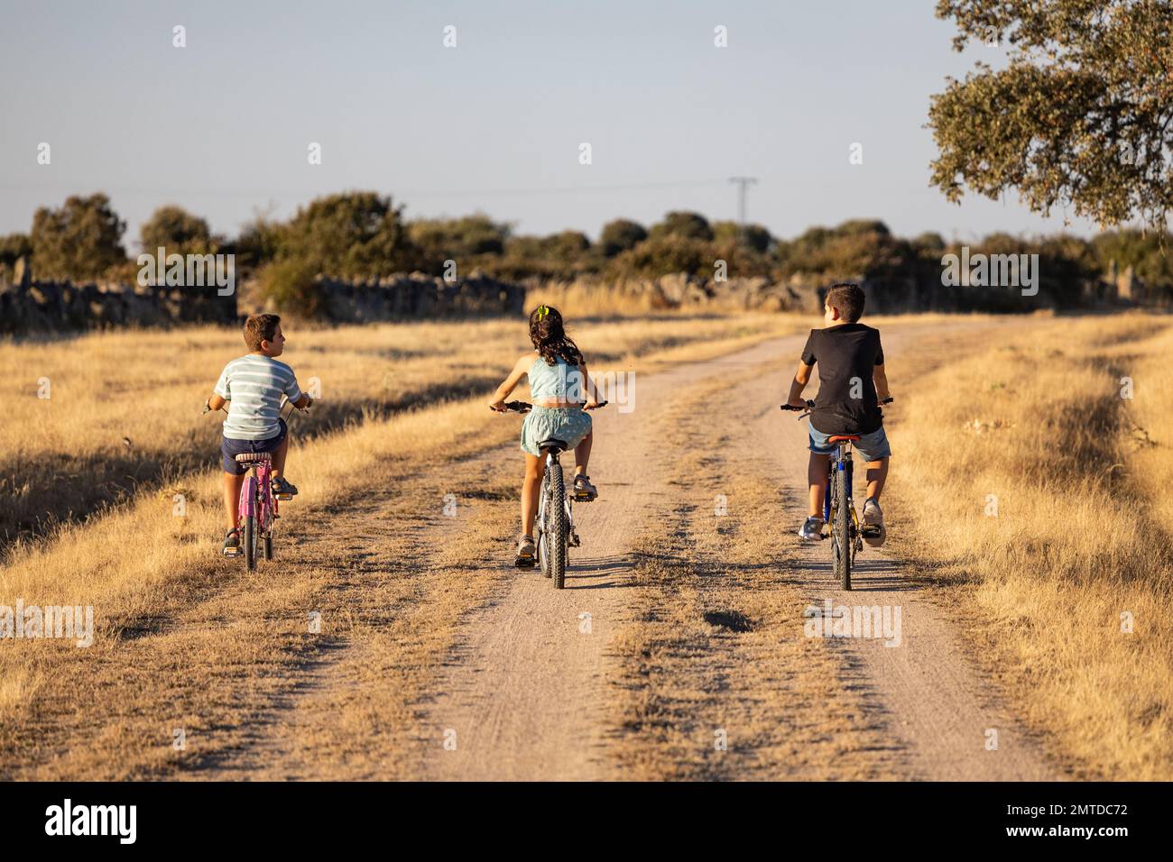 Three kids riding with theri bikes on a countryside. Back view Stock ...