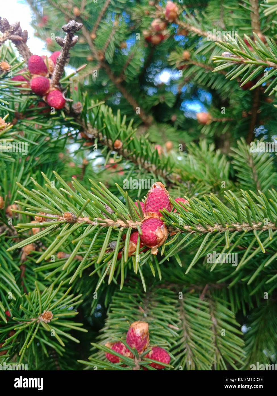 Background cones hi-res stock photography and images - Alamy