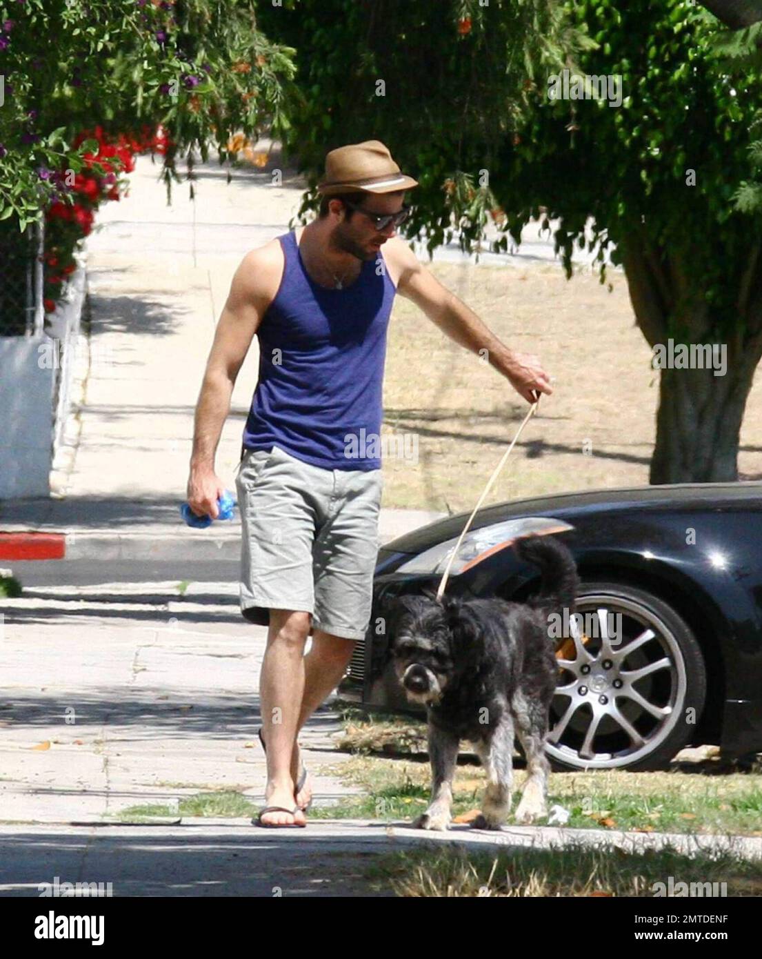 Zachary Quinto takes his Irish Wolfhound/Airedale Terrier dog Noah for ...