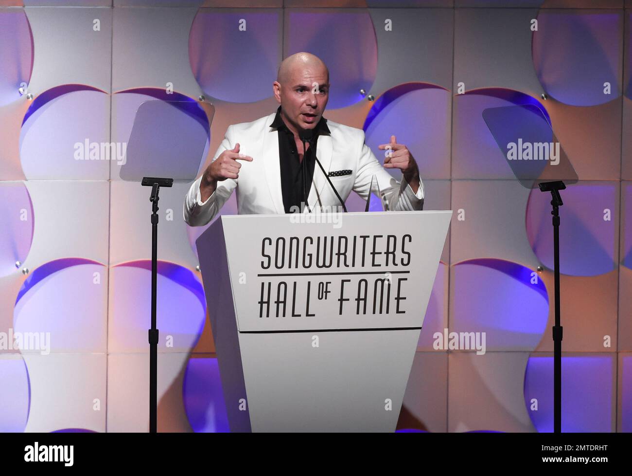Pitbull gives his acceptance speech for the Global Ambassador Award at the 48th Annual ...