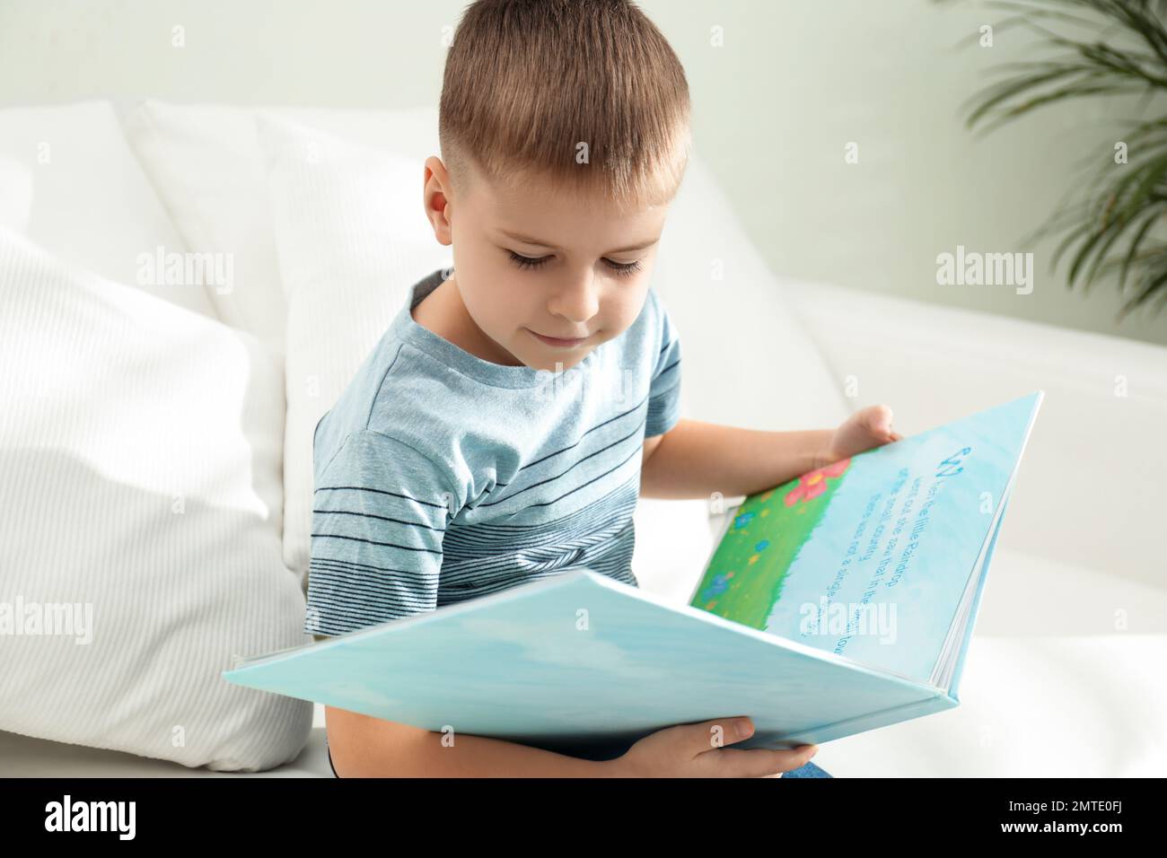 Little boy reading book on sofa indoors Stock Photo - Alamy