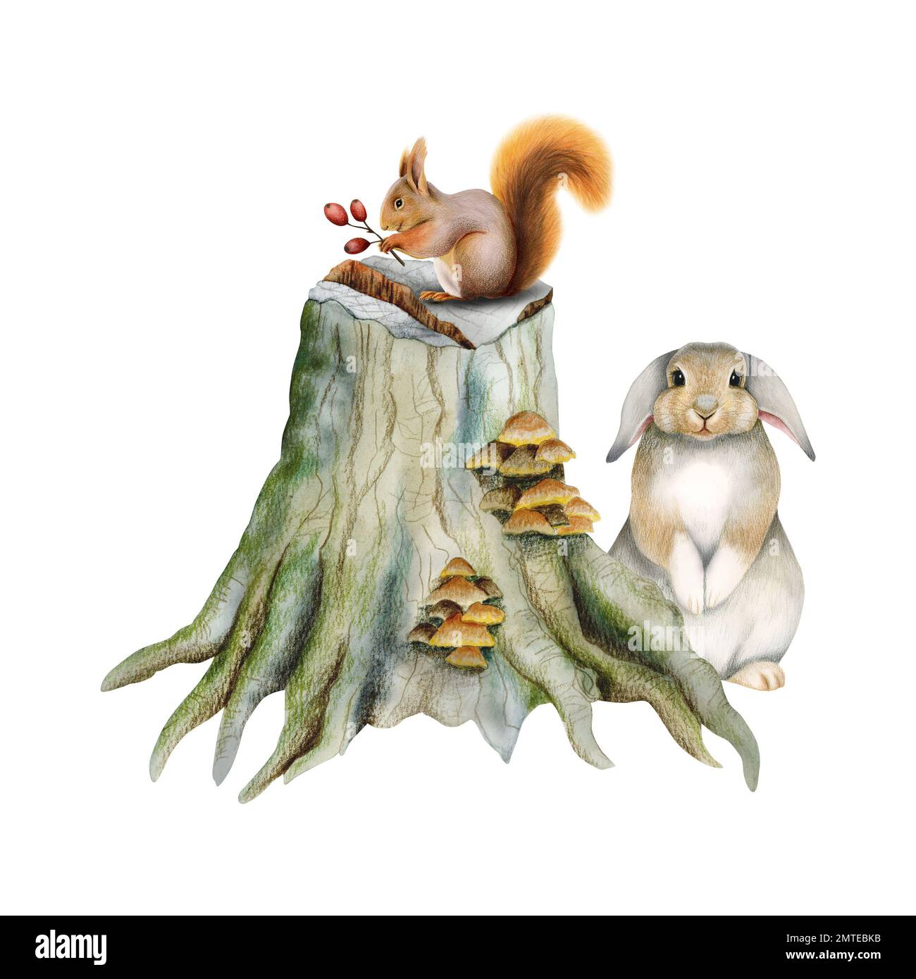 Cute Woodland Creatures Drawings