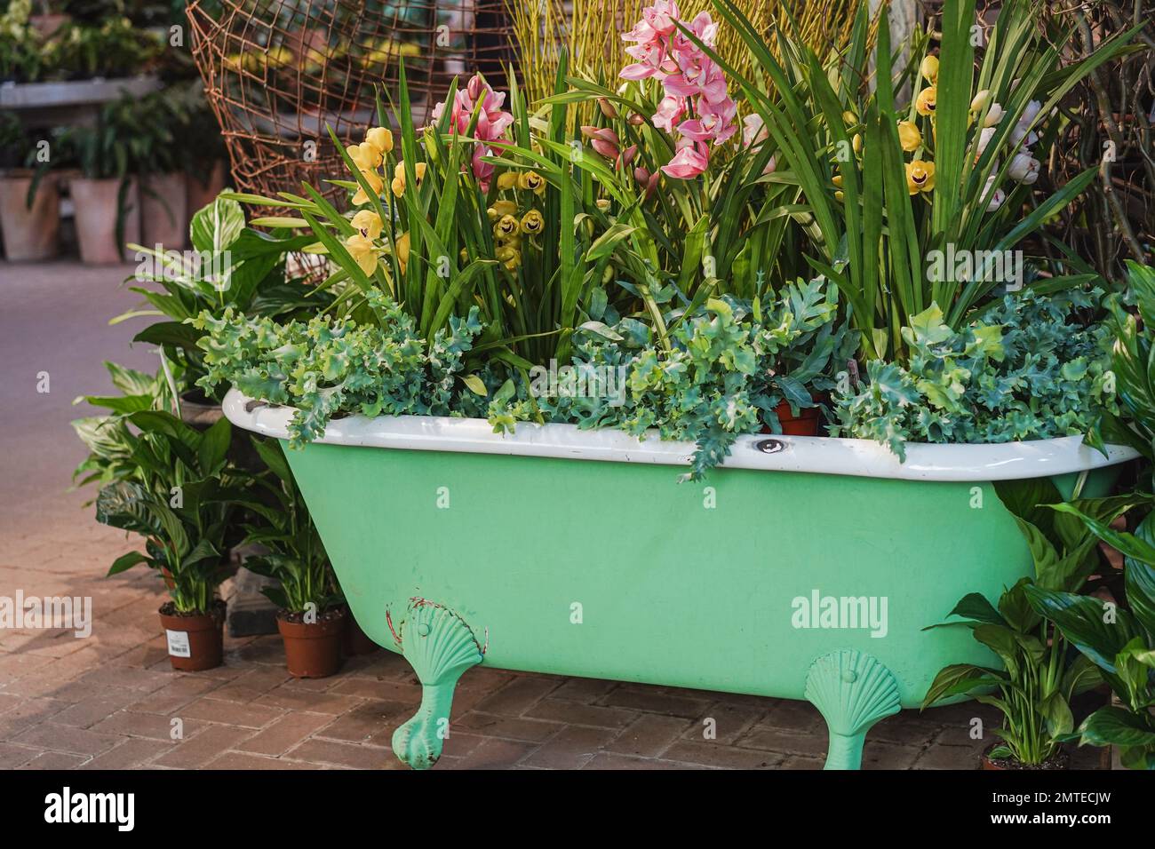 House Plant Shopping at a garden centre Stock Photo - Alamy