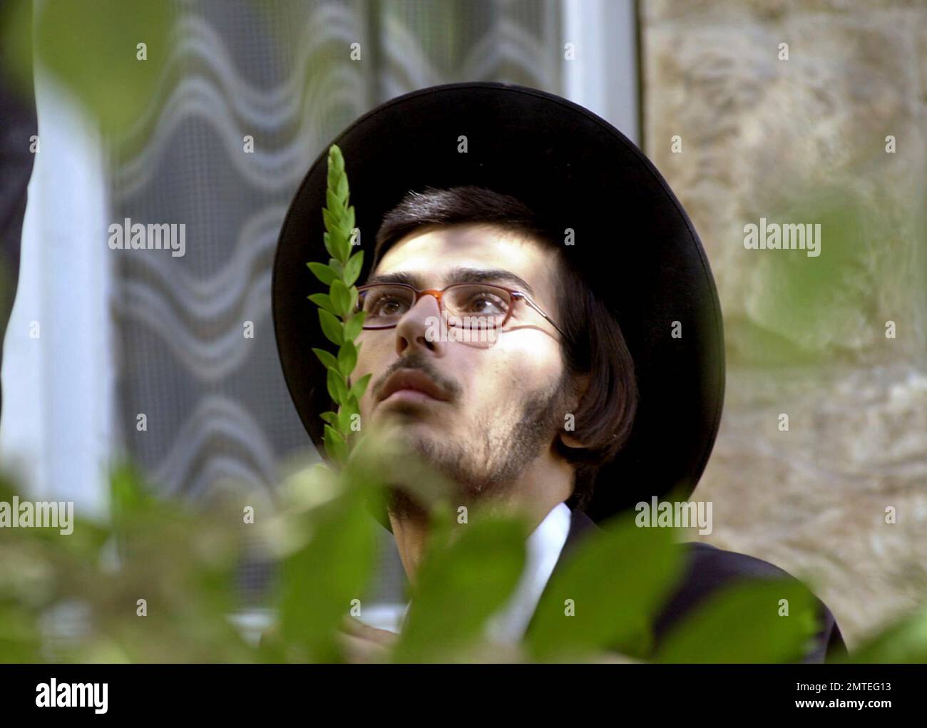 An ultra Orthodox Jew checks a branch of myrtle for blemishes before ...