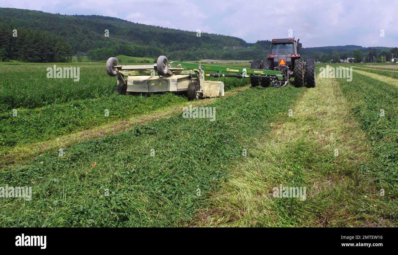 Dairy farmer Ransom Conant cuts an alfalfa and grass field in Richmond ...