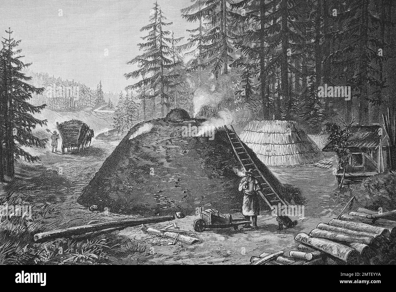 Charcoal burner with charcoal pile, a carefully arranged pile of wood ...
