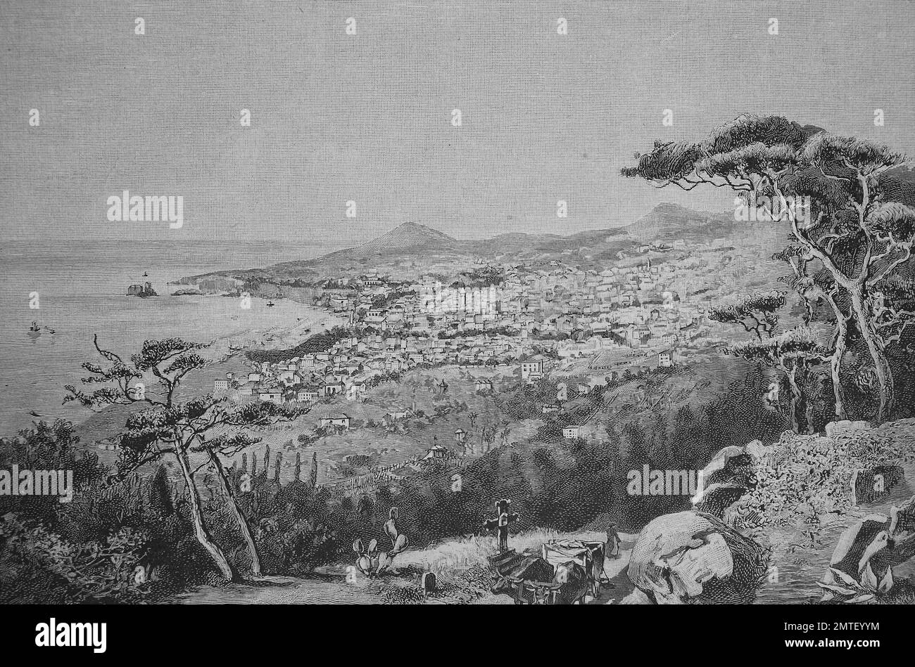 Historical madeira Black and White Stock Photos & Images - Alamy