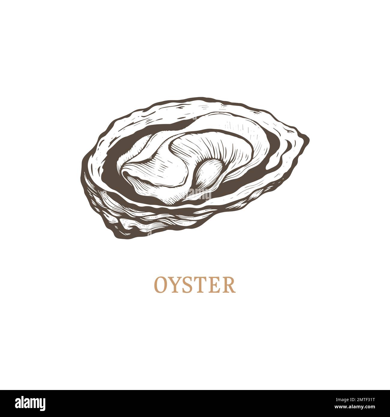 Natural oysters Stock Vector Images - Alamy
