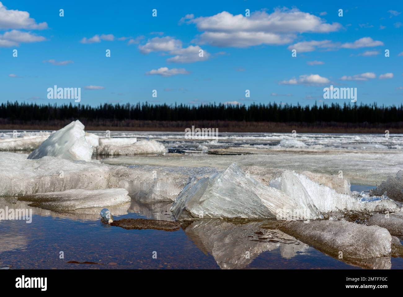 Ice drift on the spring river in the north of Yakutia Vilyui against ...