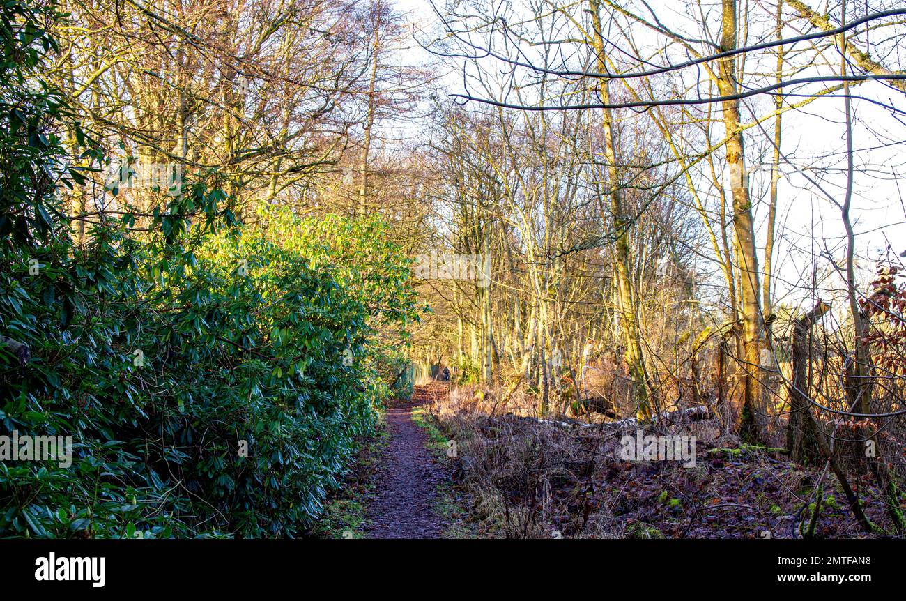 Dundee, Tayside, Scotland, UK. 1st Feb, 2023. UK Weather: Northeast ...