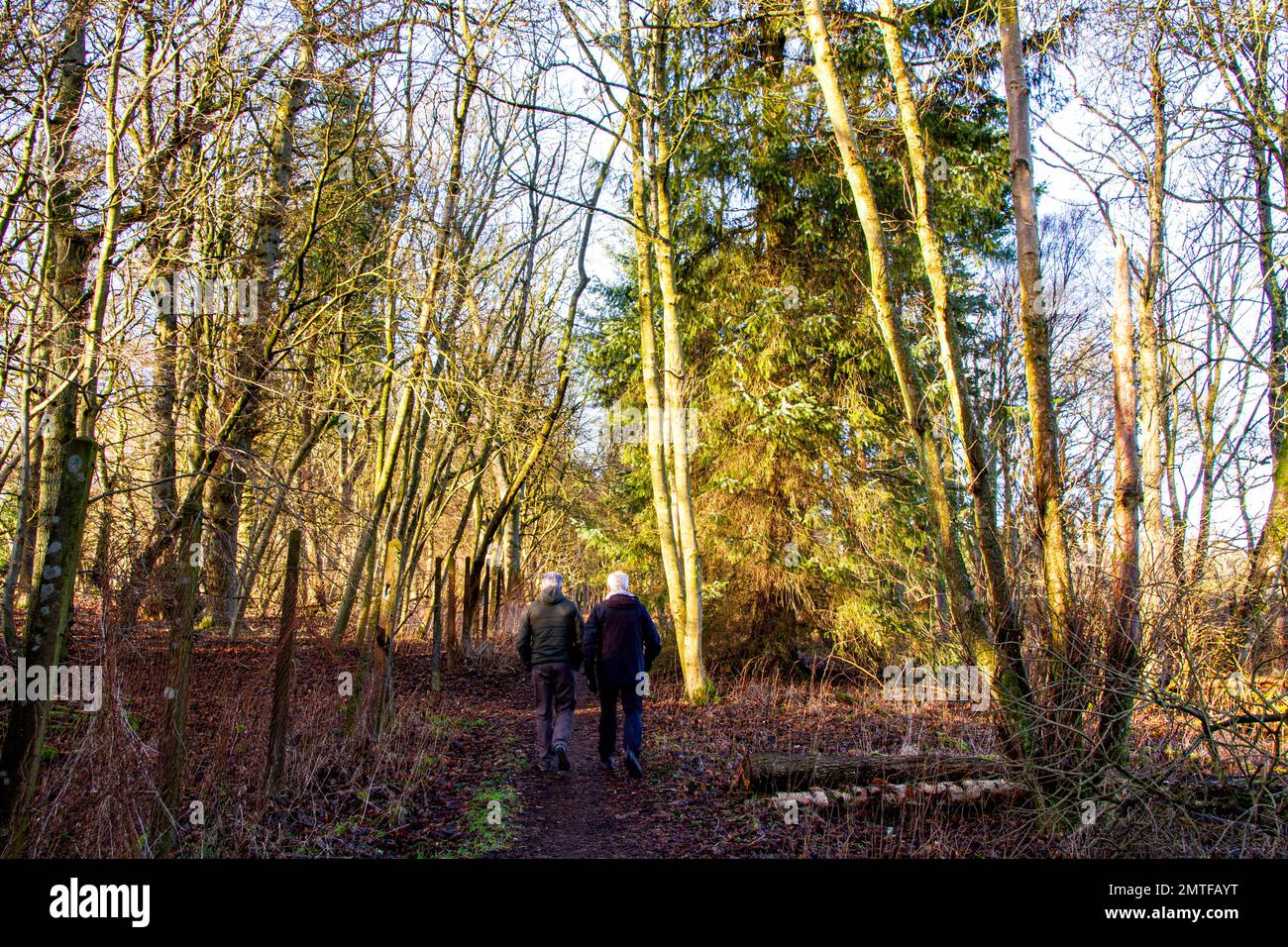 February sunshine dundee hi-res stock photography and images - Alamy
