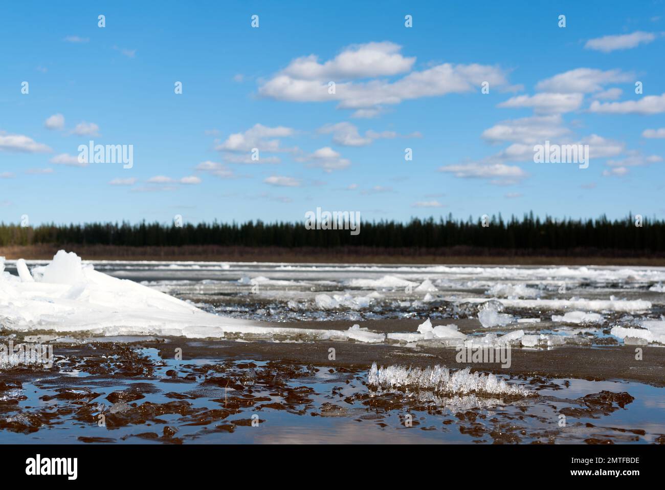 The last ice floes lie without a current. Ice drift on the spring river in Yakutia Vilyui ...