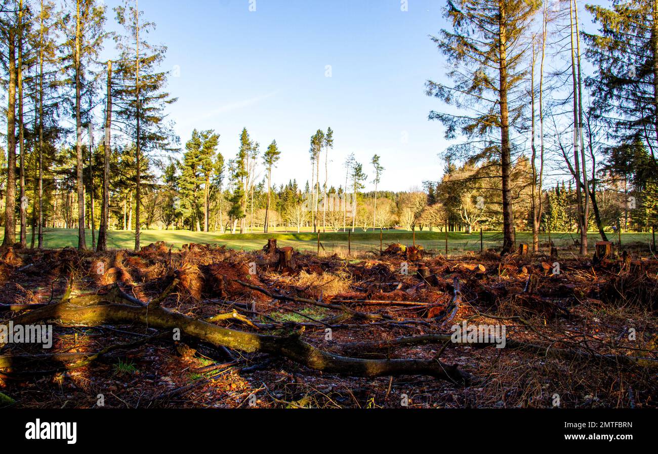 Downfield golf course dundee hi-res stock photography and images - Alamy