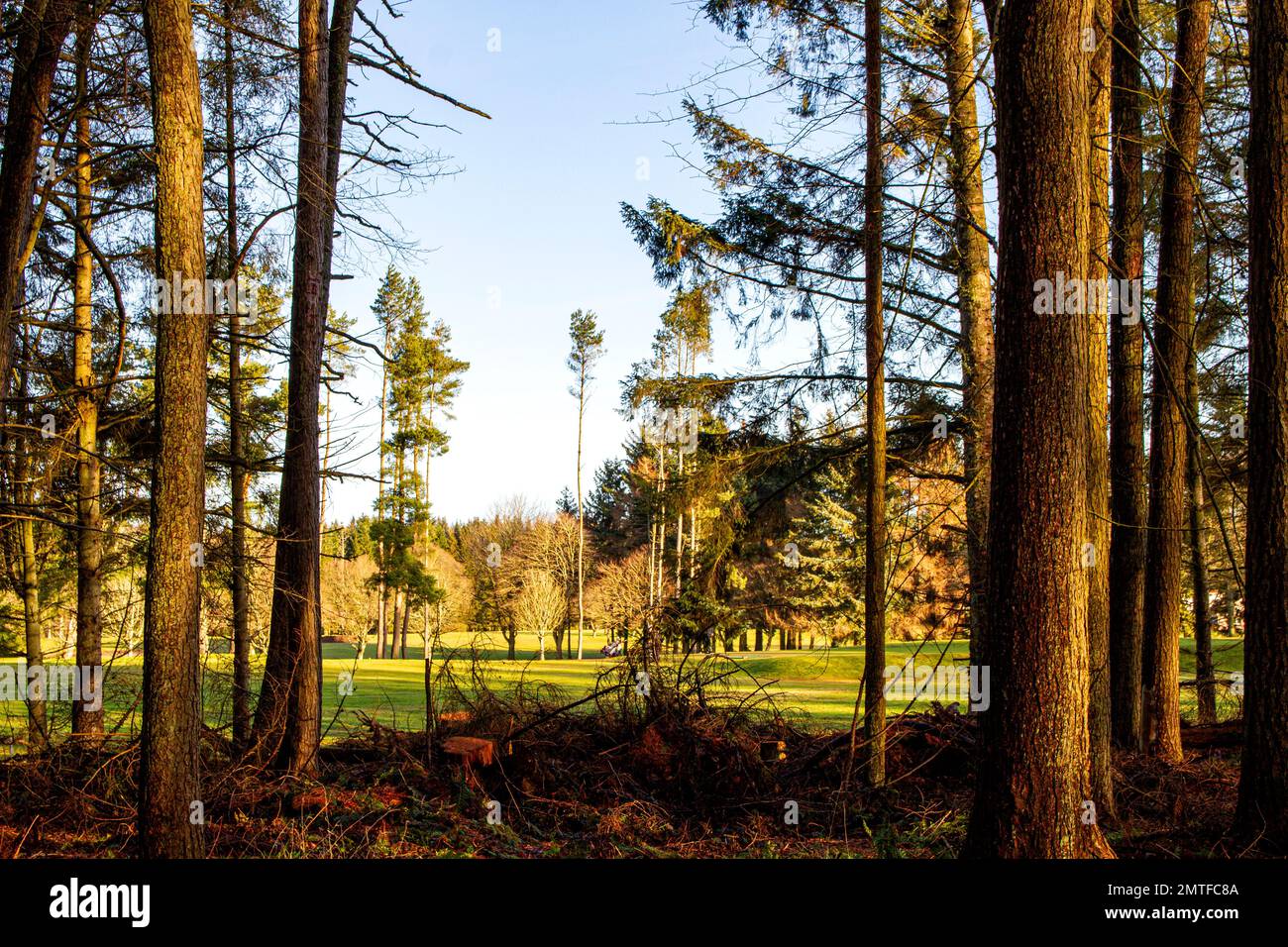 Downfield golf course dundee hi-res stock photography and images - Alamy