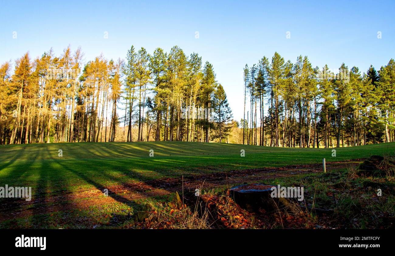 Dundee, Tayside, Scotland, UK. 1st Feb, 2023. UK Weather: Northeast ...