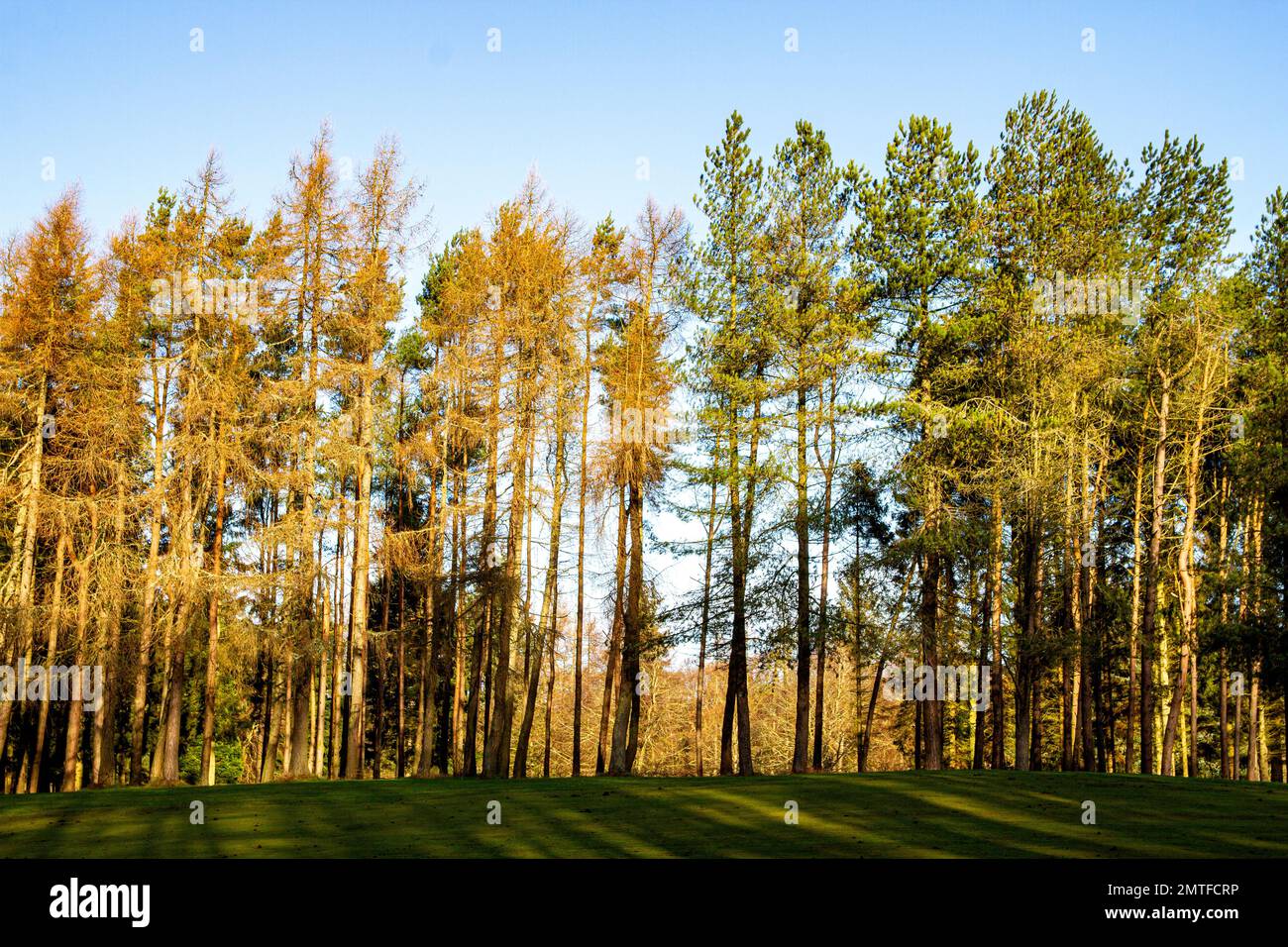 Dundee, Tayside, Scotland, UK. 1st Feb, 2023. UK Weather: Northeast ...