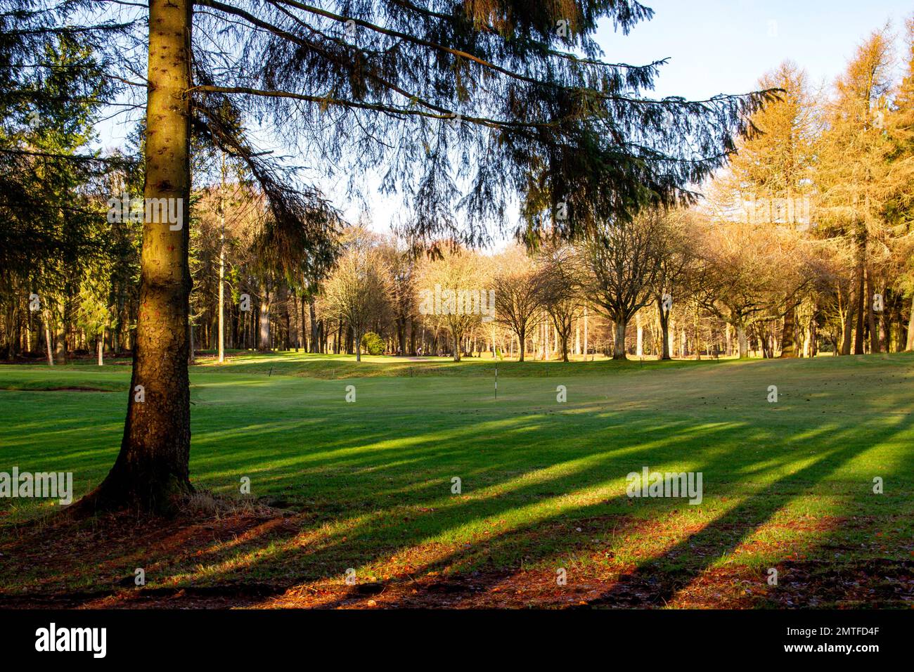Dundee, Tayside, Scotland, UK. 1st Feb, 2023. UK Weather: Northeast ...