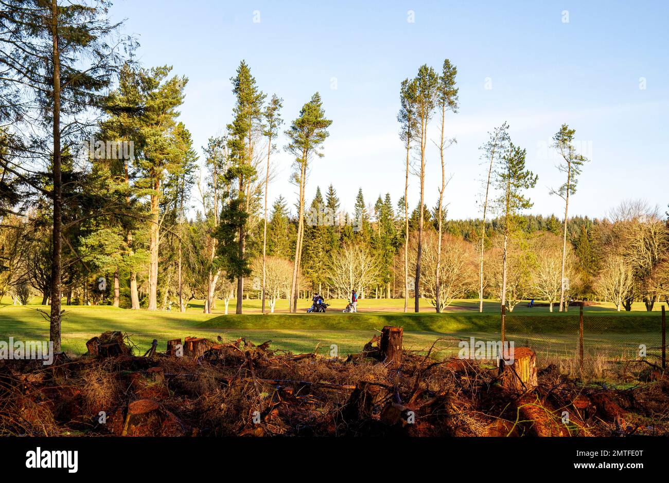 Golf 2023 hi-res stock photography and images - Alamy
