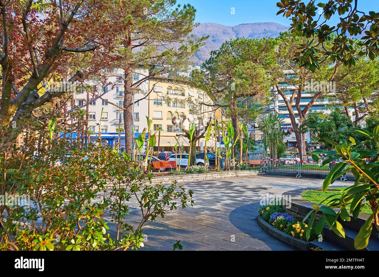 The tall shady trees and lush bushes in a beautiful park on embankment ...