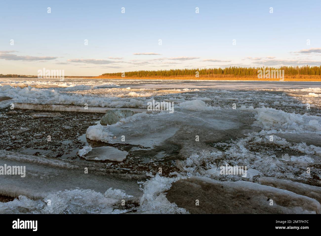 The last needle-shaped ice floes are melting near the shore against the ...