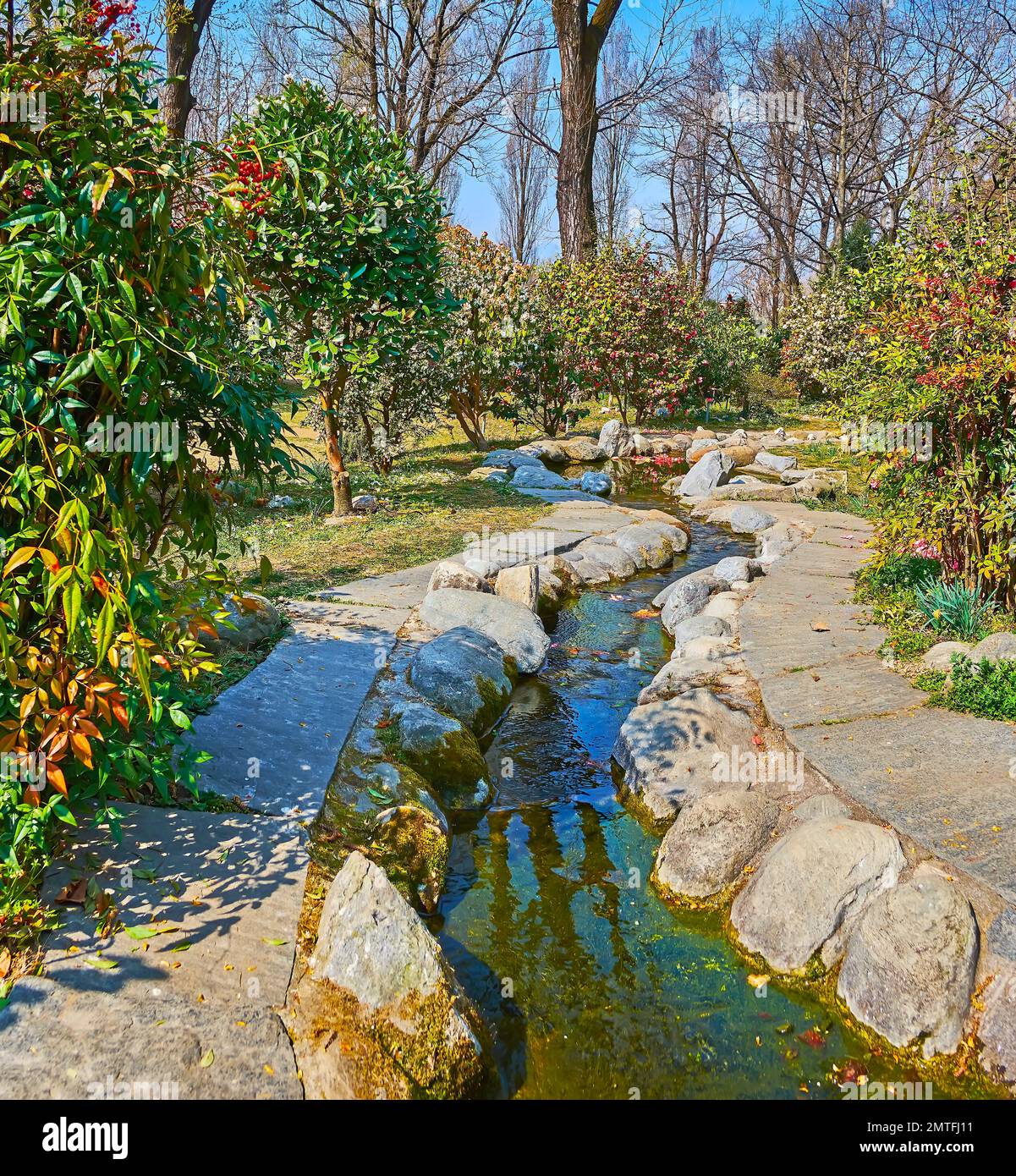 The narrow creek in Camellia Park of Locarno with green bushes of ...